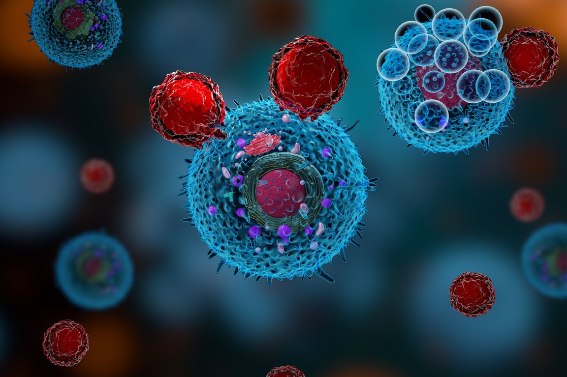 UCLA study on immune cell response could lead to more effective immunotherapy | UCLA